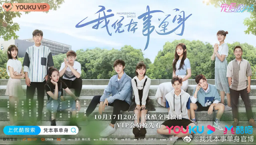 Professional Single Chinese Drama - C-Drama Love - Show Summary
