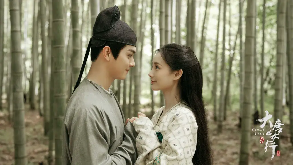 Court Lady Chinese Drama - C-Drama Love - Show Summary