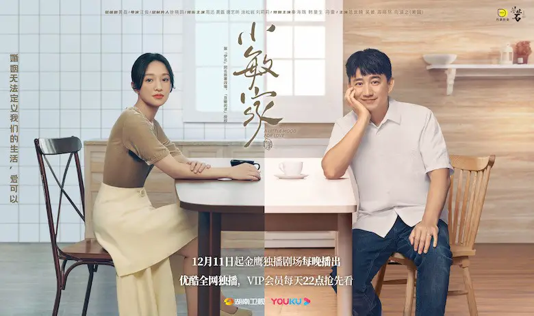 A Little Mood for Love - C-Drama Love - Show Summary
